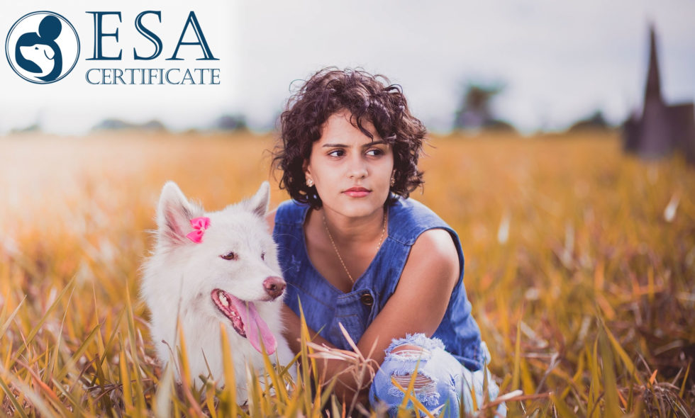 How Do I Get An Emotional Support Animal (ESA) Certification Online ...