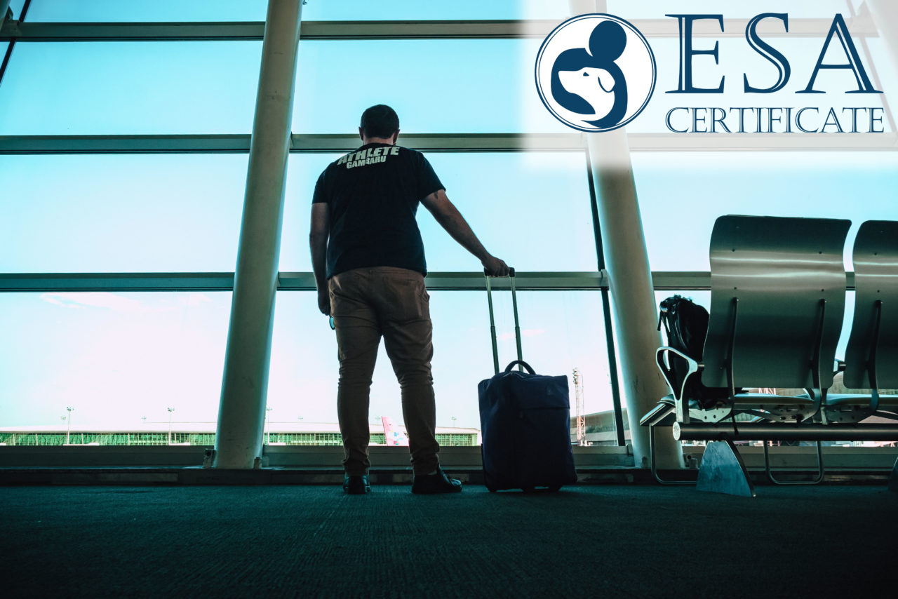 How would an Airline approved ESA letter look like? - ESA Certificate