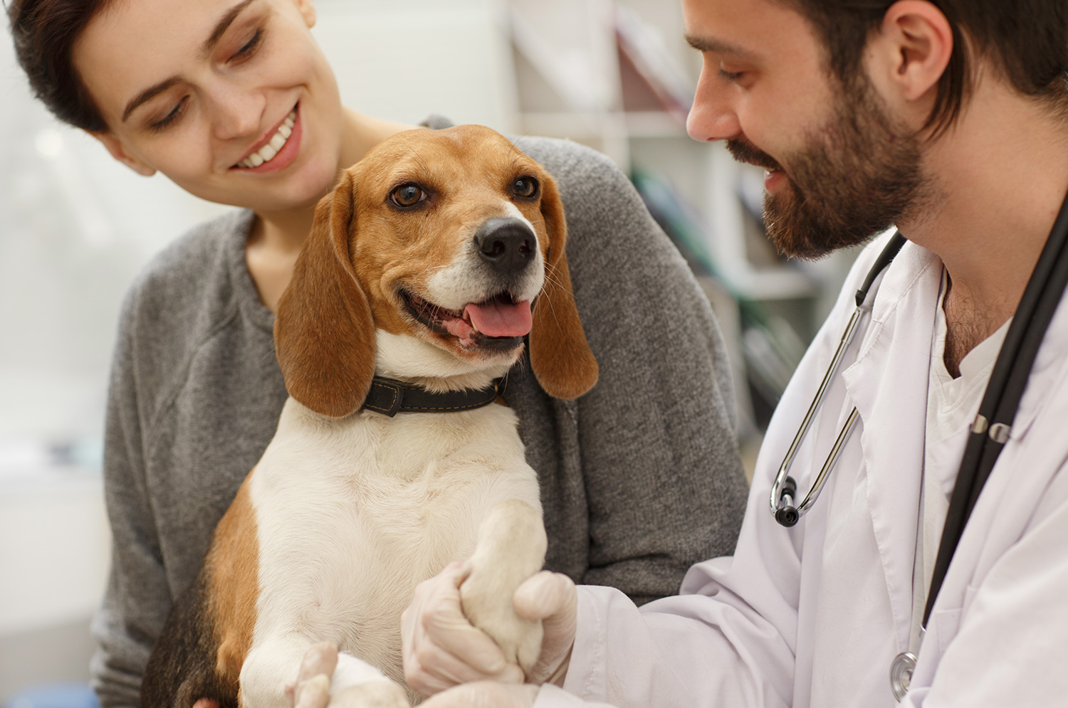 Things You Should Know About ESA Letter For Your Dog Site Title