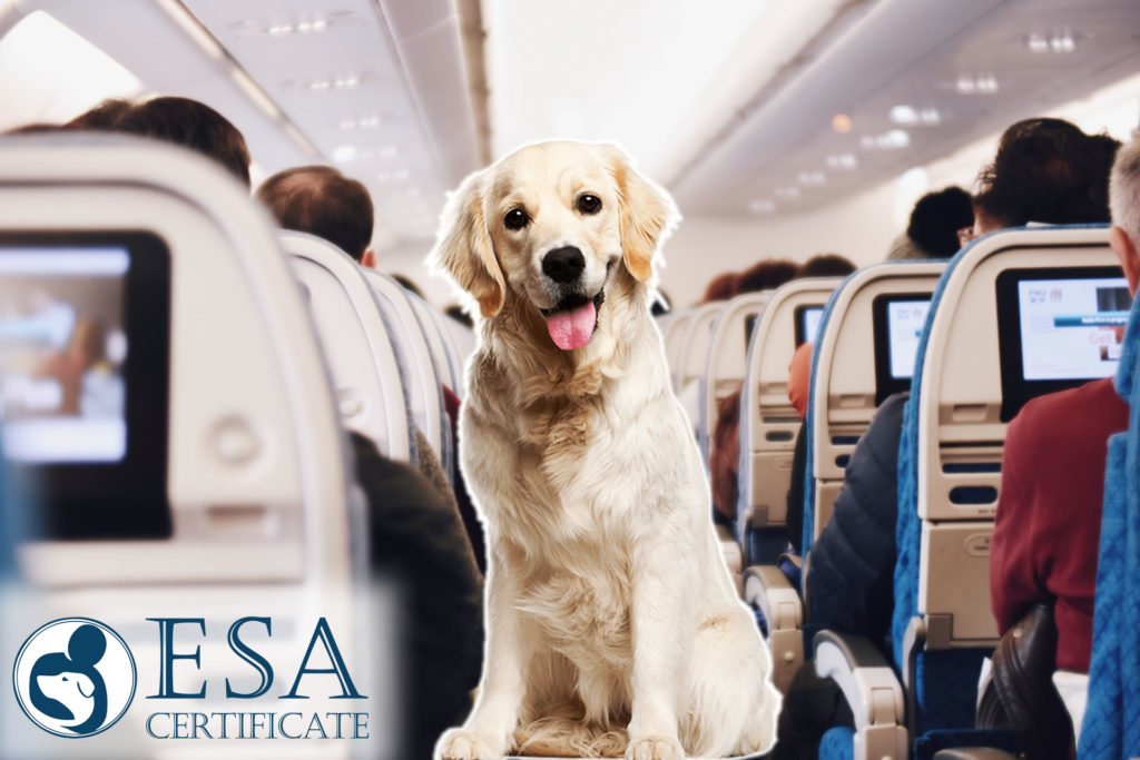 Emotional Support Animal Laws You Should Know - ESA Certificate