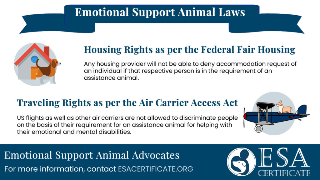 Emotional Support Animal Laws You Should Know - ESA Certificate
