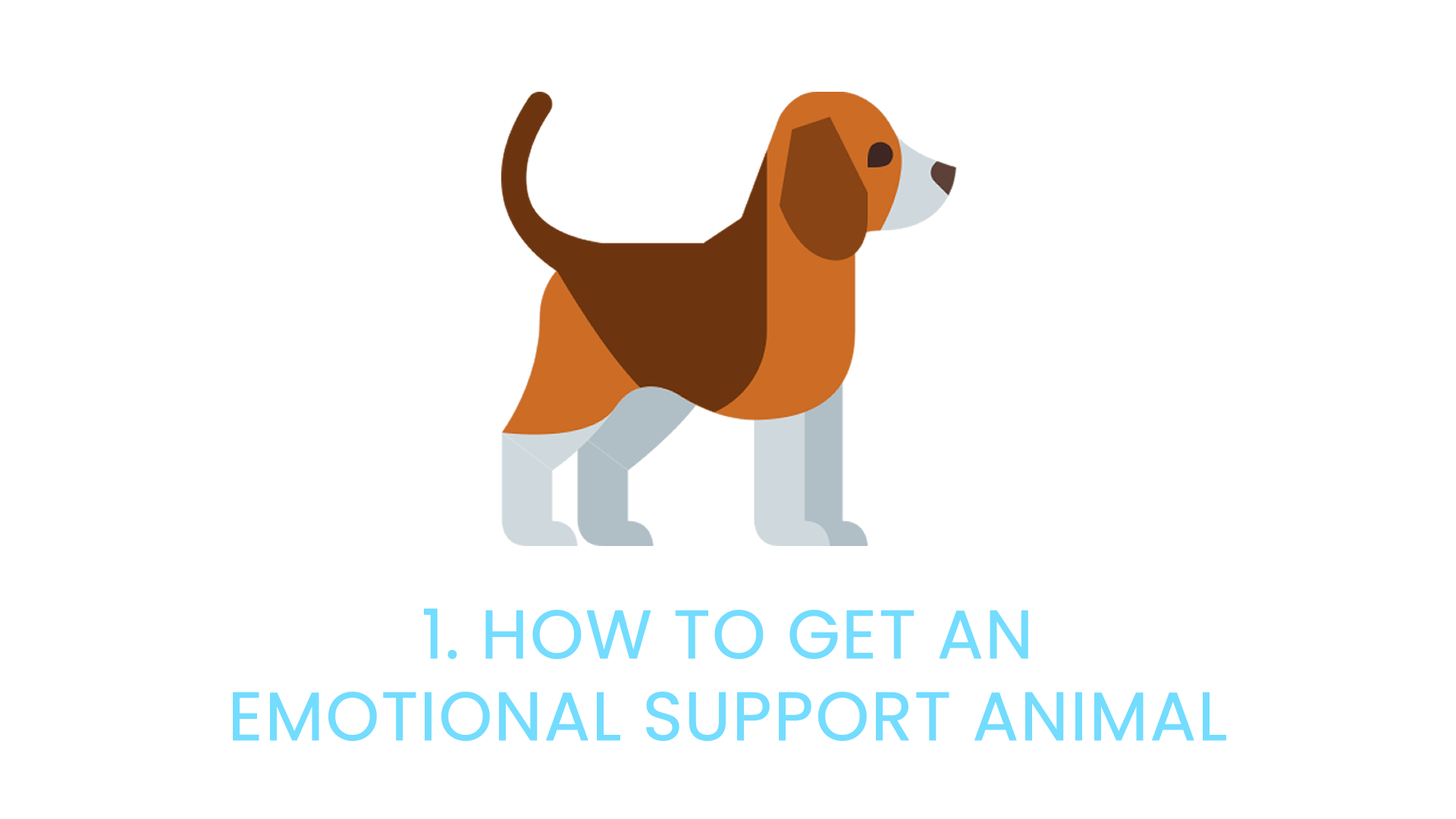 Beginner’s Guide for an Emotional Support Animal - ESA Certificate