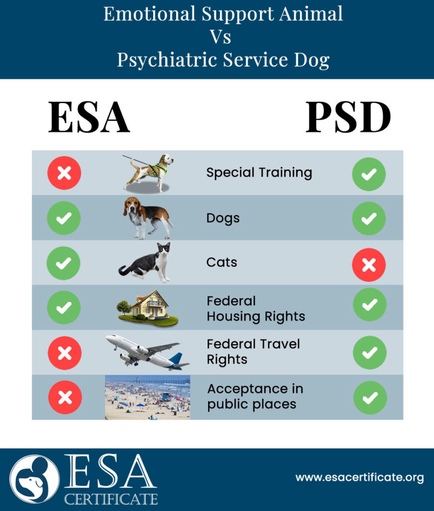 How can you turn your ESA into a Psychiatric Service Dog? - ESA Certificate