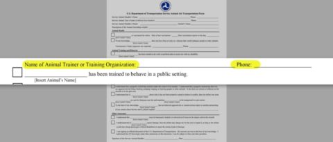 Travel with your Service Dog using DOT’s Service Animal Air ...