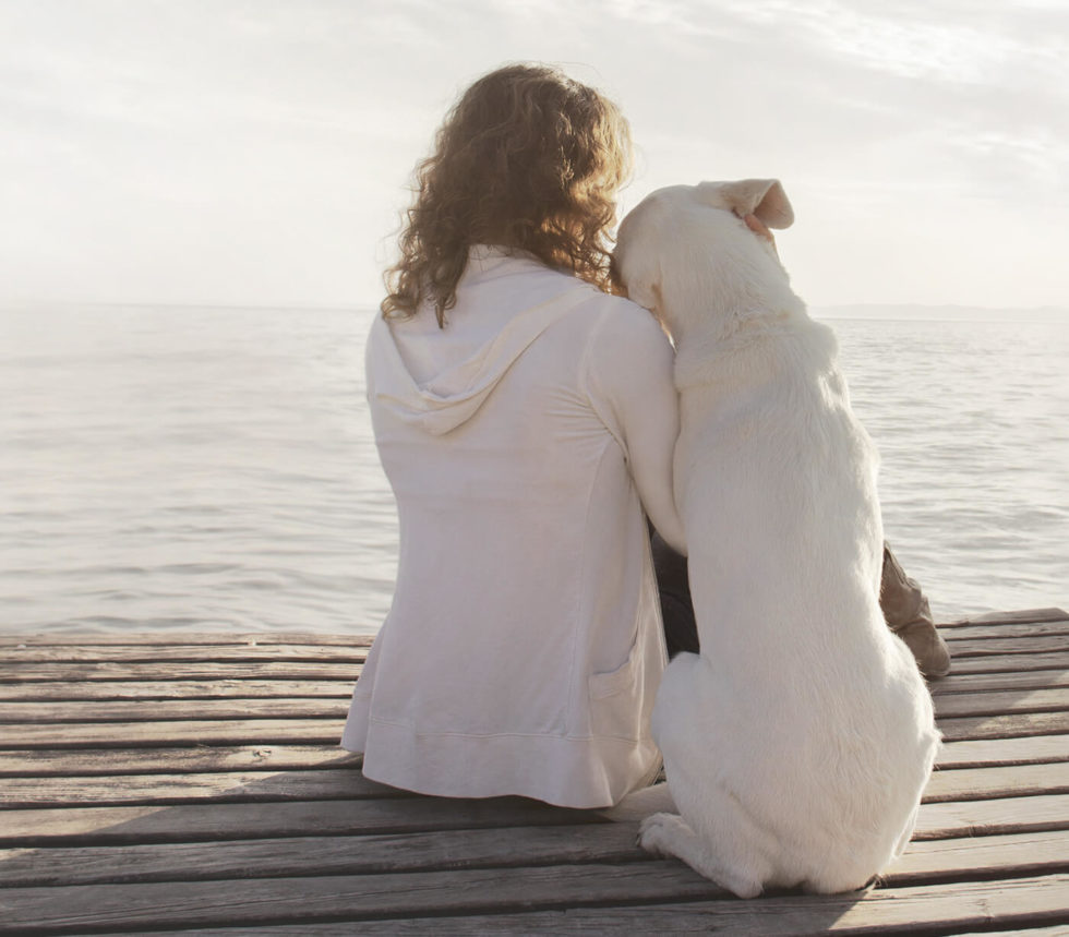 ESA Letter| Get ESA Certificate for Dogs and Cats | ESA Registration